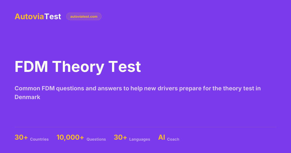 FDM Theory Test — AutoviaTest