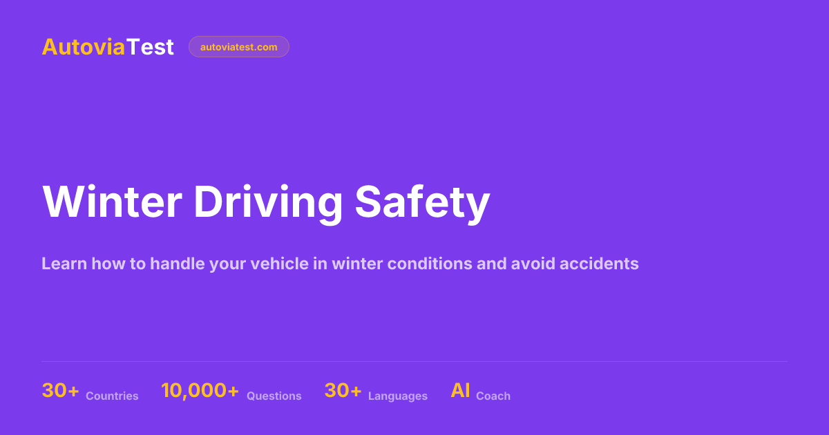 Winter Driving Safety — AutoviaTest
